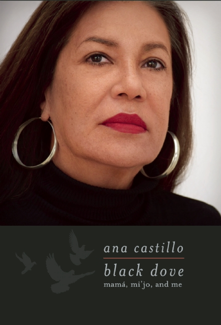 Interview: Ana Castillo | The Florida Review at UCF