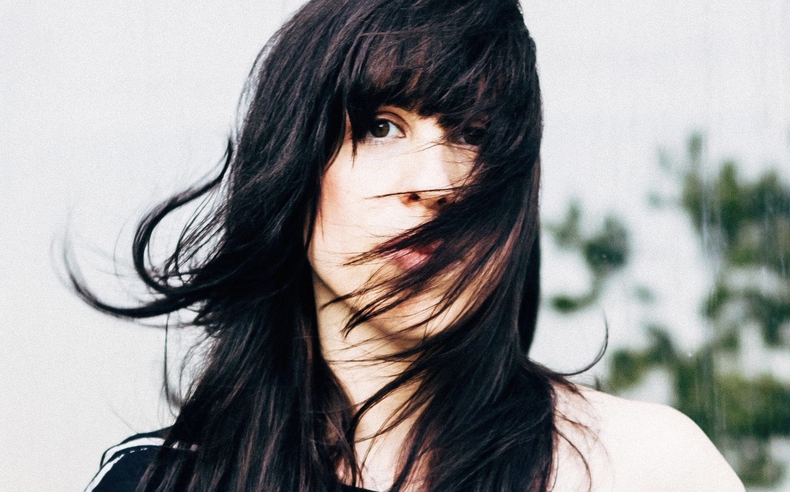 The Murder Hornet | The Florida Review at UCF