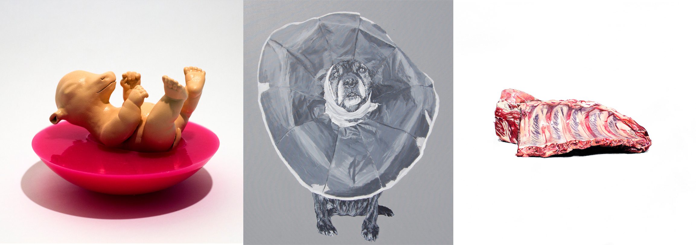 SVAD OSC Gallery: Where ART Meets Science | UCF Art Gallery