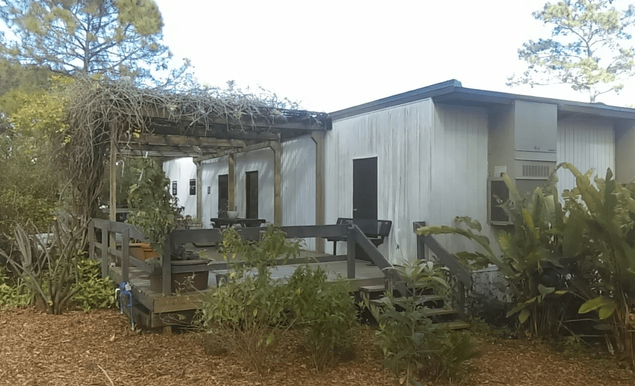 UCF’s Arboretum: The Green that Lies Beside the Concrete - IMPRINT
