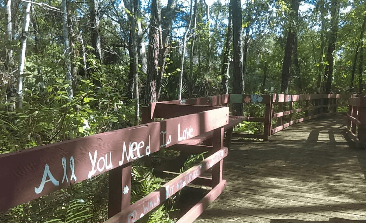 UCF’s Arboretum: The Green that Lies Beside the Concrete – IMPRINT