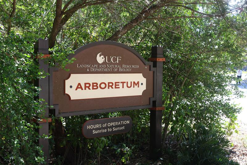 UCF's Arboretum: Helping Knights Foster Connections with Nature & Each Other - IMPRINT