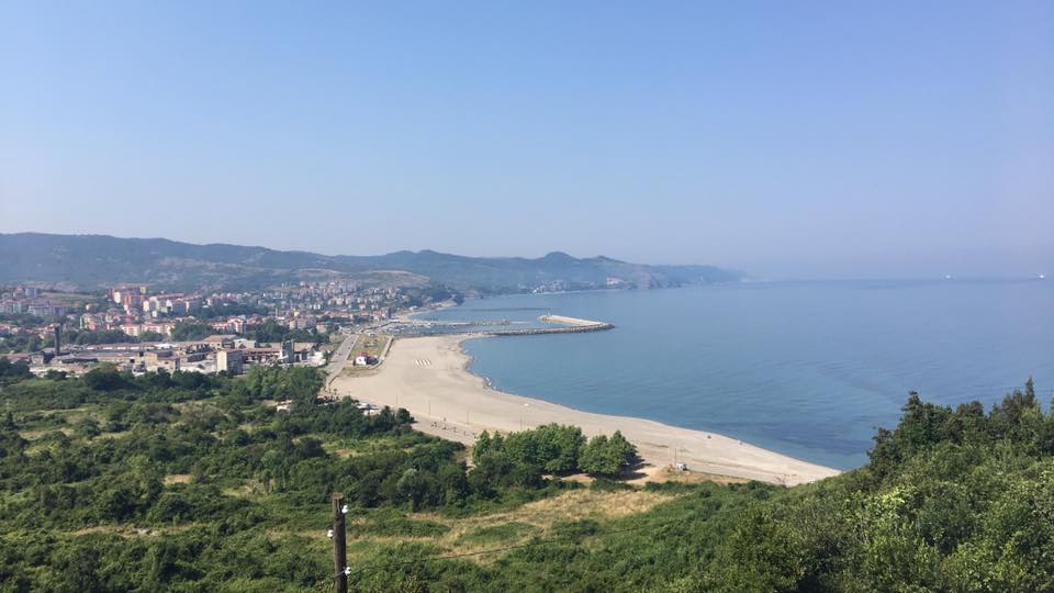 Student Highlight: Rachael Rothstein-Safra, Knight of Distinction - CAH ...