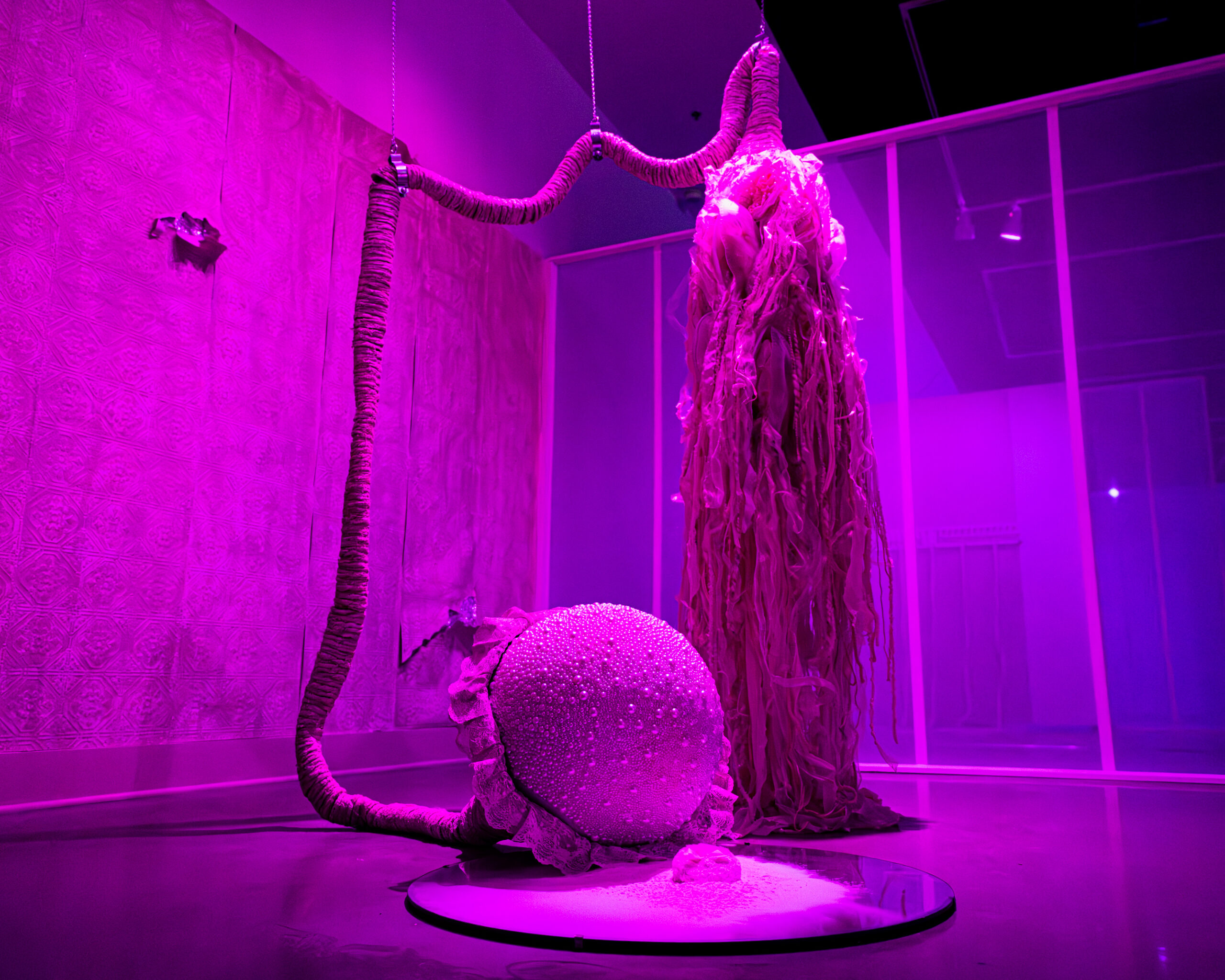 One Sequin at a Time: Teneé Hart's Immersive Journey Through Home - CAH ...